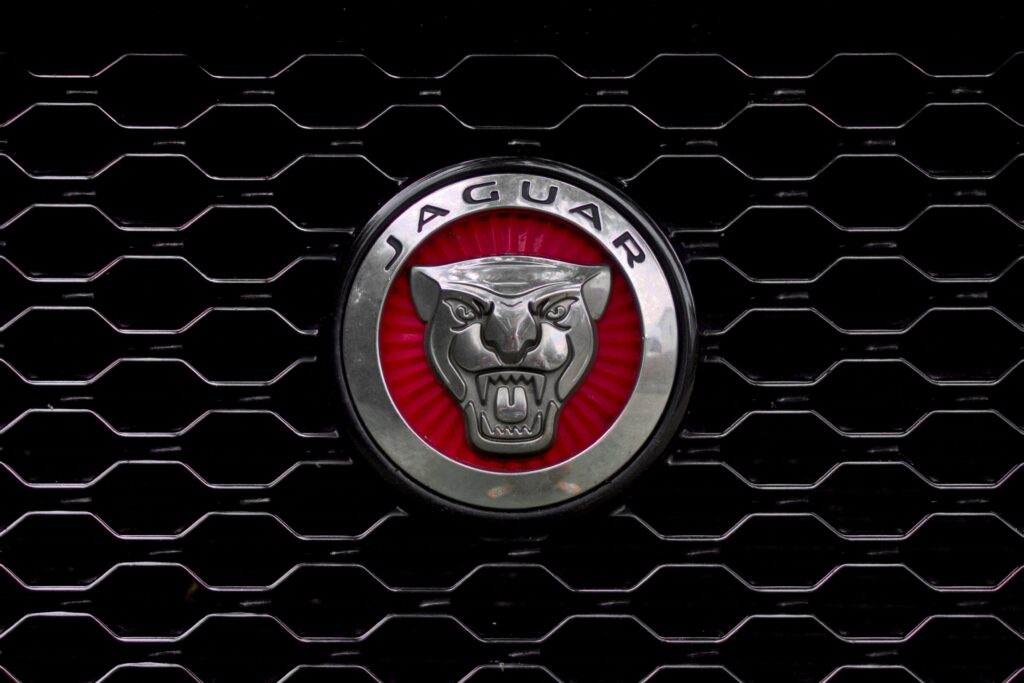 Jaguar Logo: Meaning, History, Design Influences, and Evolution - Boon ...