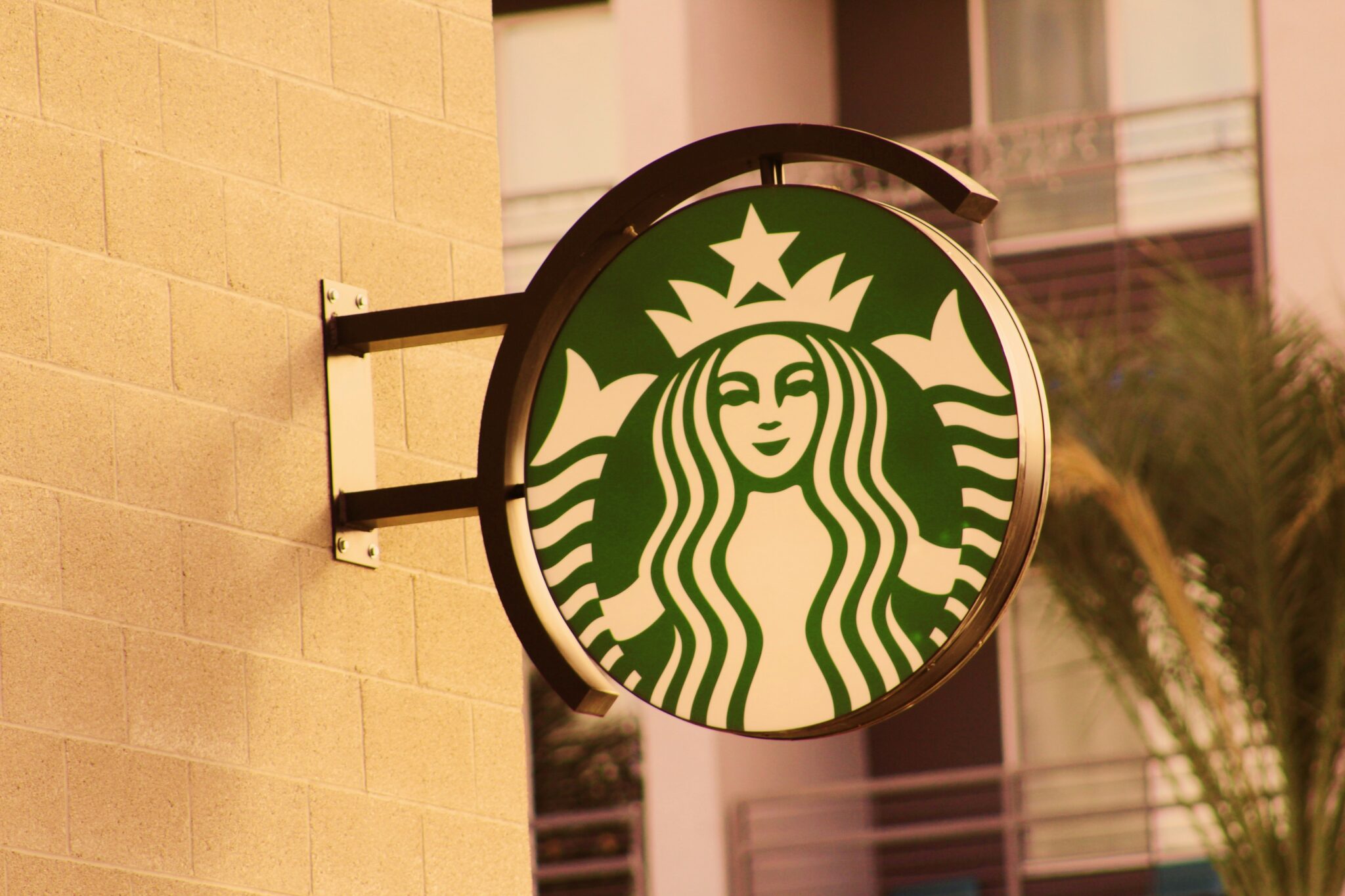 Starbucks Logo: Meaning, History, Design Influences, and Evolution ...