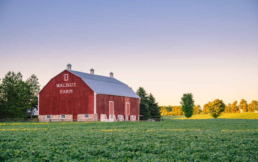 Farmhouse Slogan Ideas - Boon : Best Logo Maker for Your Needs