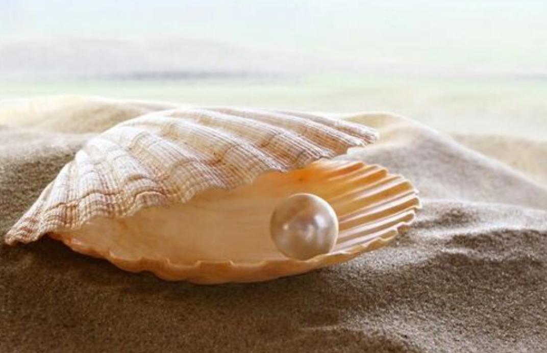 Pearl Slogan Ideas - Boon : Best Logo Maker for Your Needs