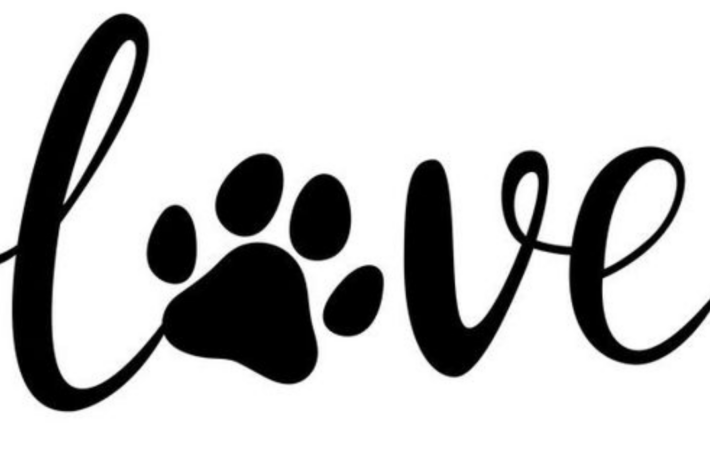 Pet Slogan Ideas - Boon : Best Logo Maker for Your Needs