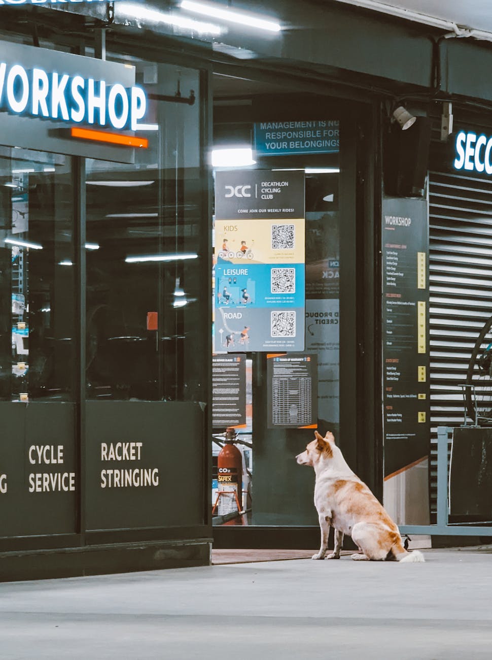 Bicycle Repair Shop Slogan Ideas - Boon : Best Logo Maker for Your Needs