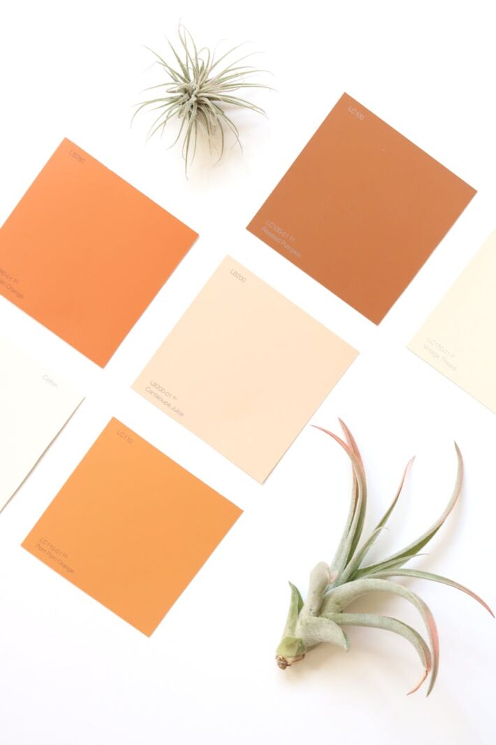 Color Palette Slogan Ideas - Boon : Best Logo Maker for Your Needs