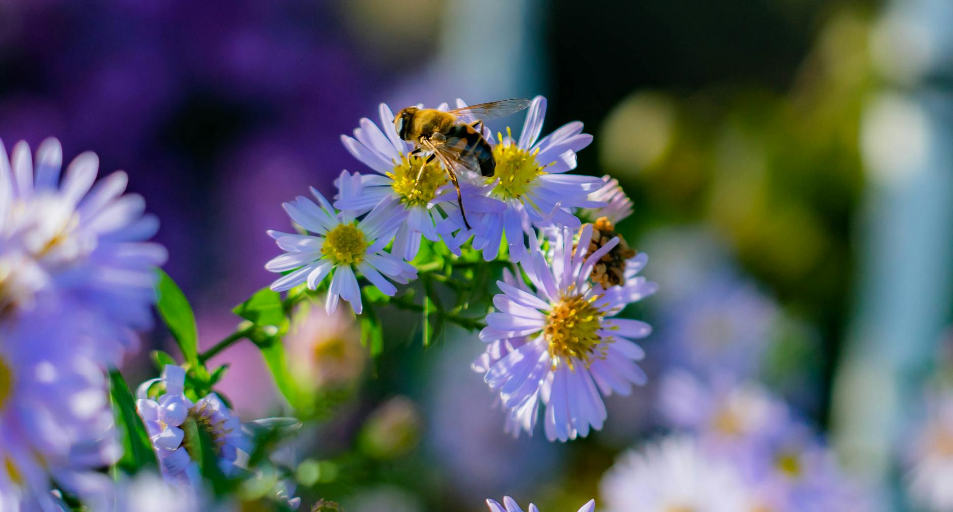 Environmental Science Slogan Ideas - Boon : Best Logo Maker for Your Needs