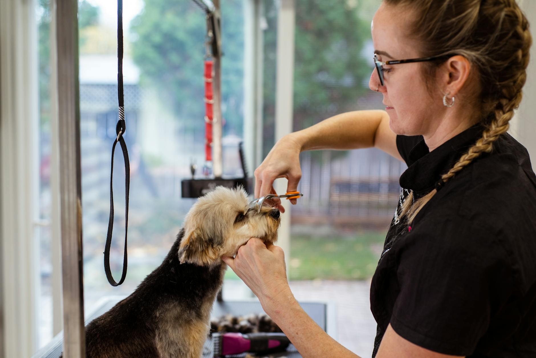 Pet Care Solutions Slogan Ideas - Boon : Best Logo Maker for Your Needs