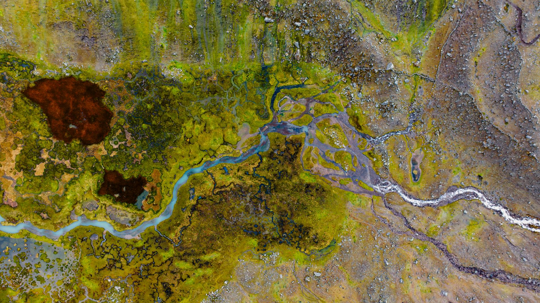 Survey Services Slogan Ideas - Boon : Best Logo Maker for Your Needs