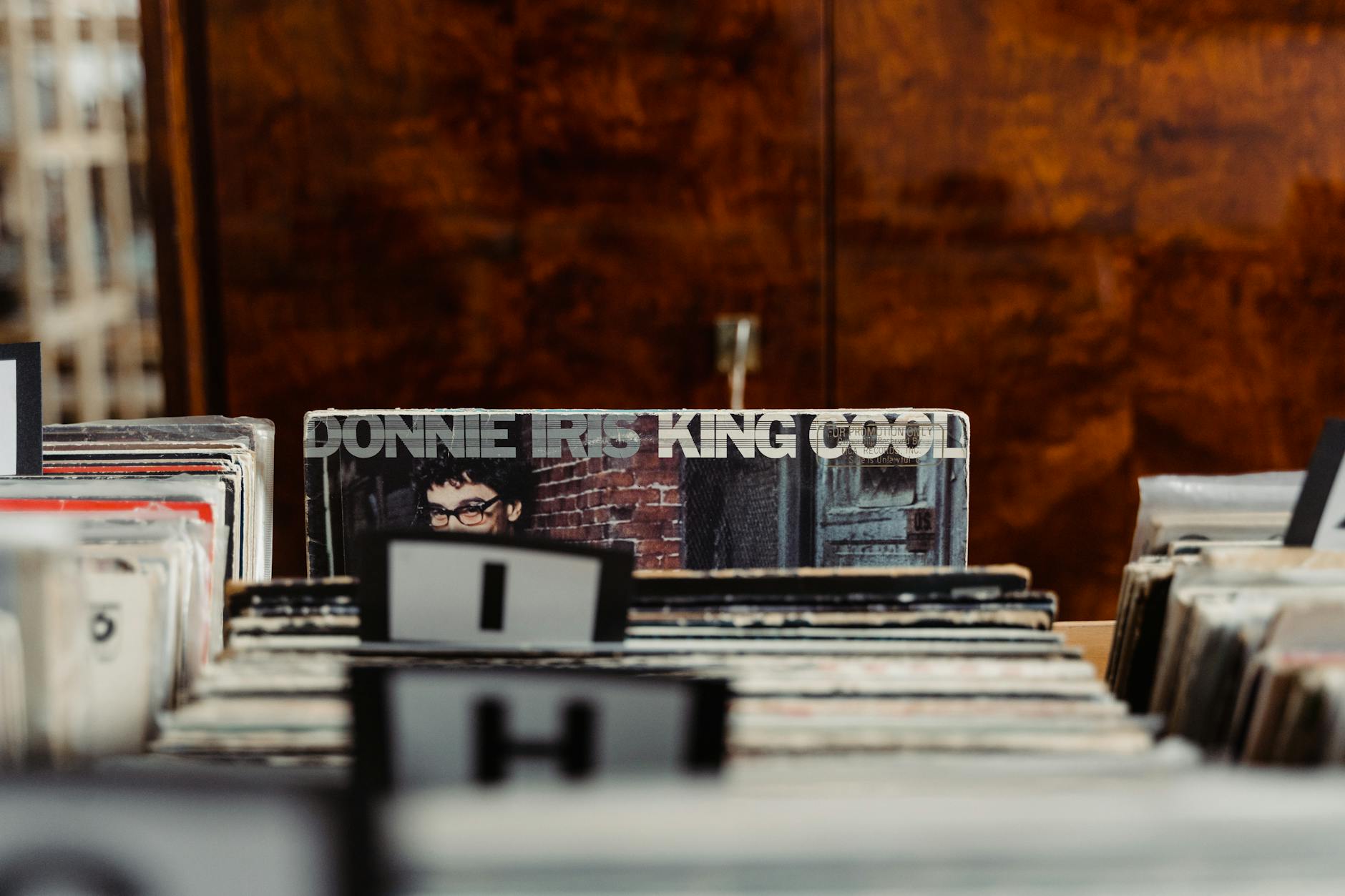 Vinyl Records Slogan Ideas - Boon : Best Logo Maker for Your Needs