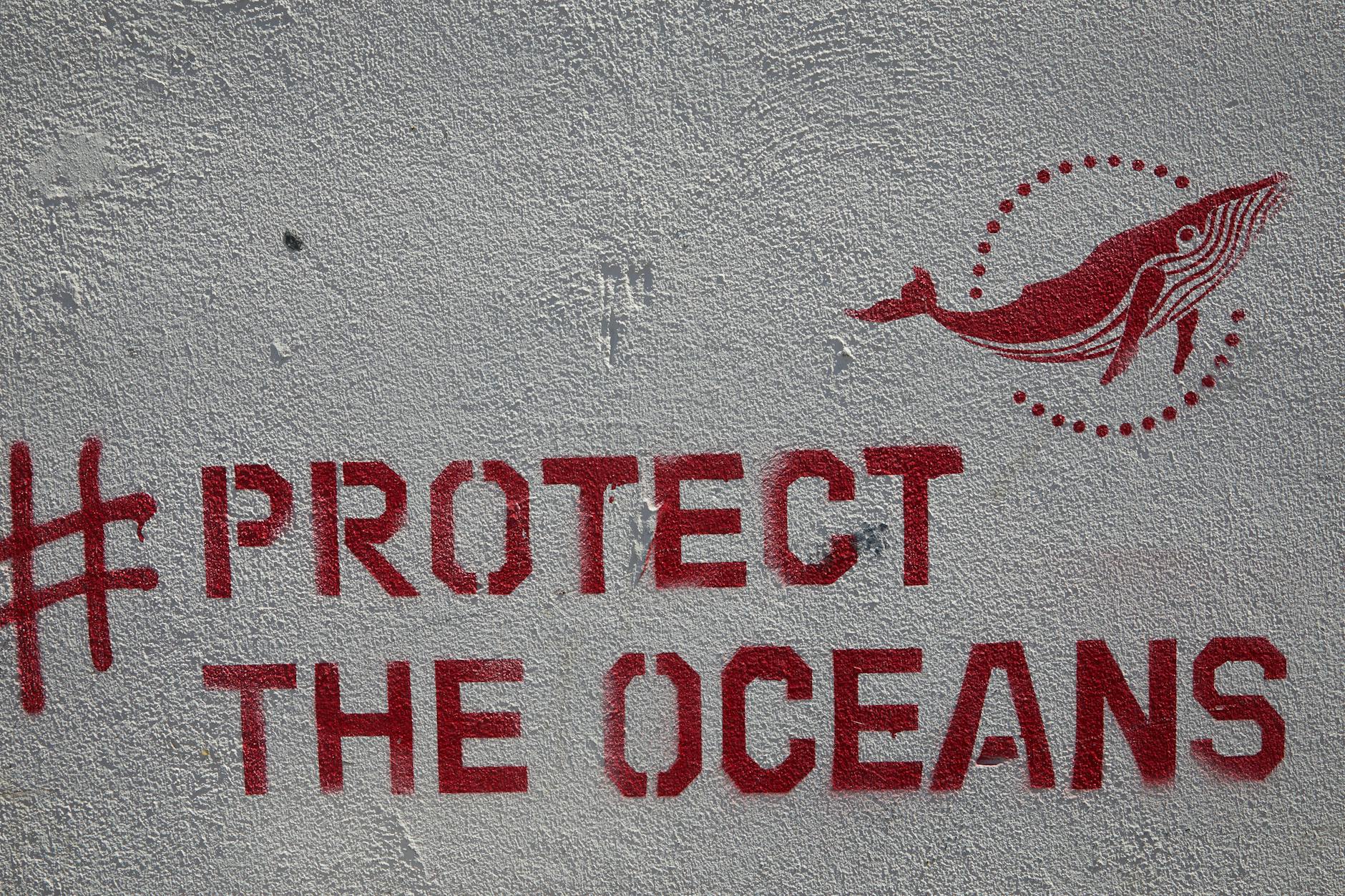 Wall Murals Slogan Ideas - Boon : Best Logo Maker for Your Needs